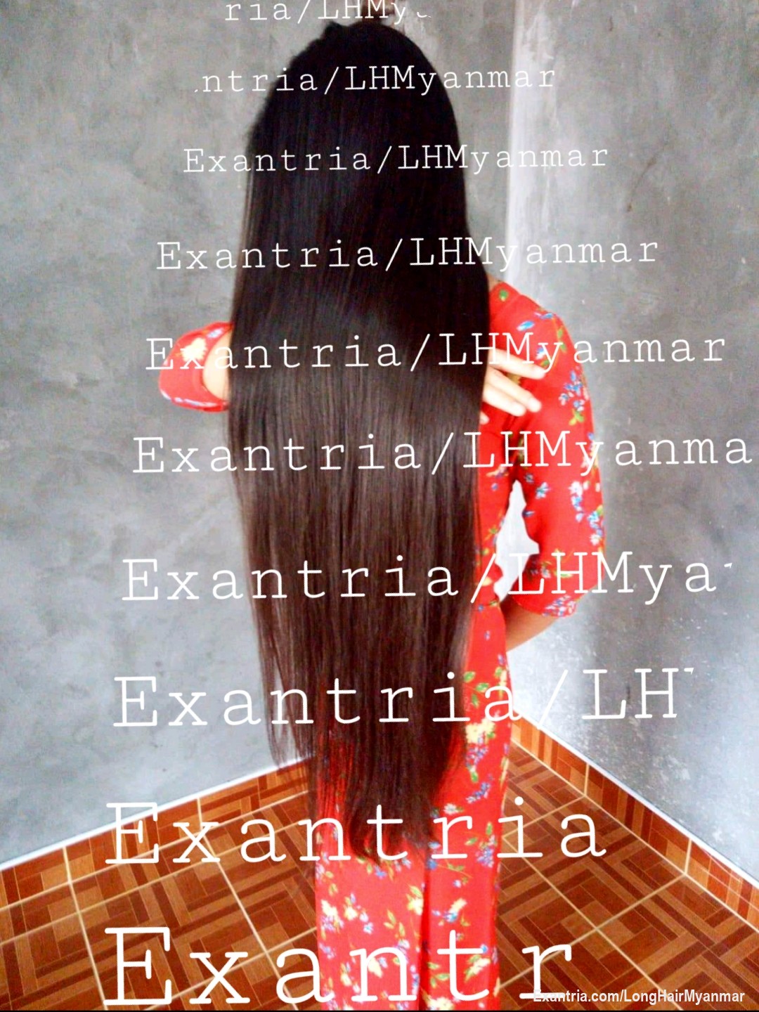 Long Hair Myanmar - Exantria | Support Creators Content