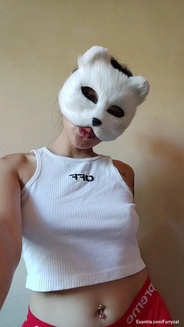 Furrycat - Exantria | Support Creators Content