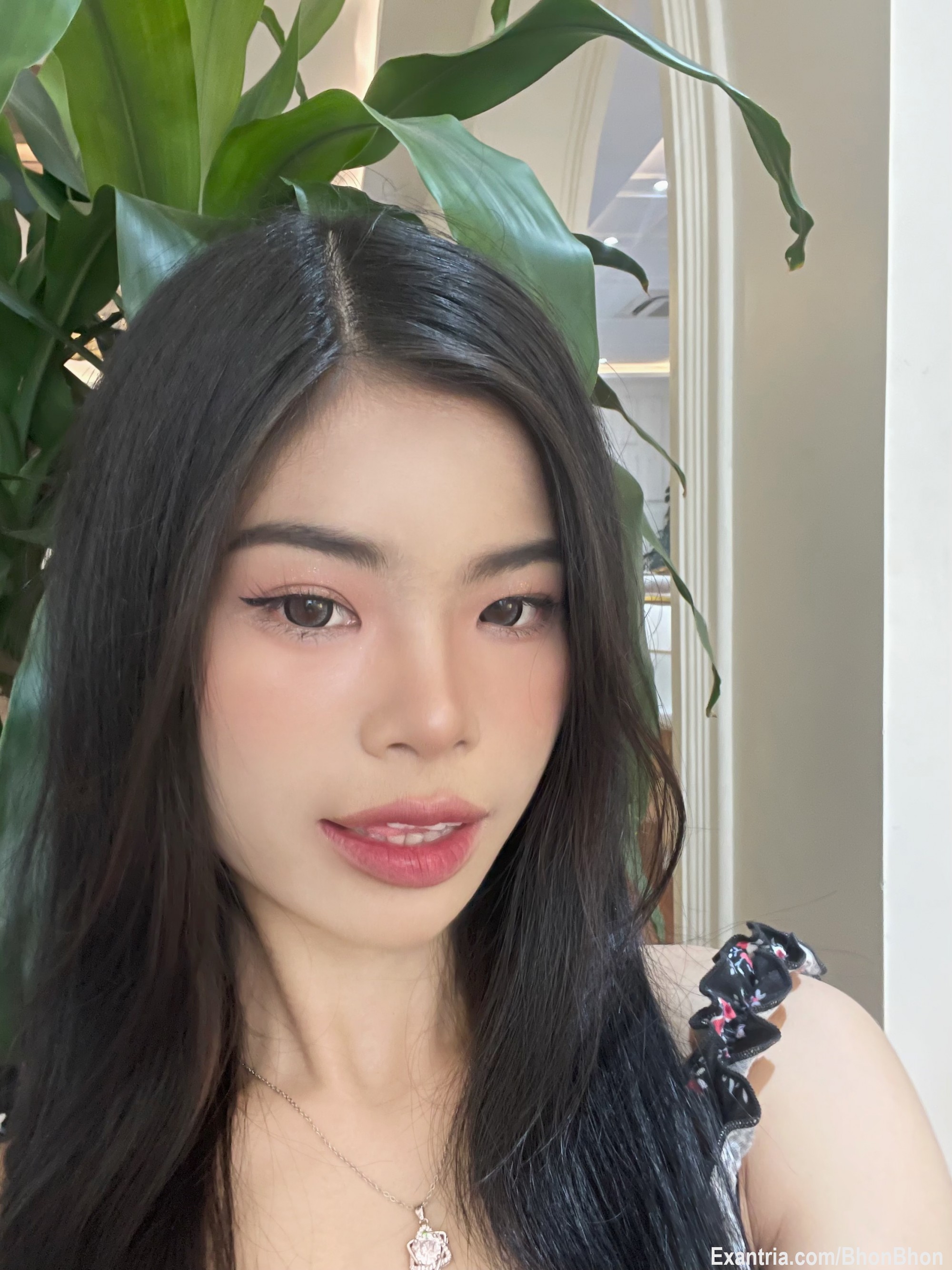 Free - Shwe Bhon Sen - Exantria | Support Creators Content